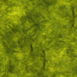 CorelDRAW Help | Content types